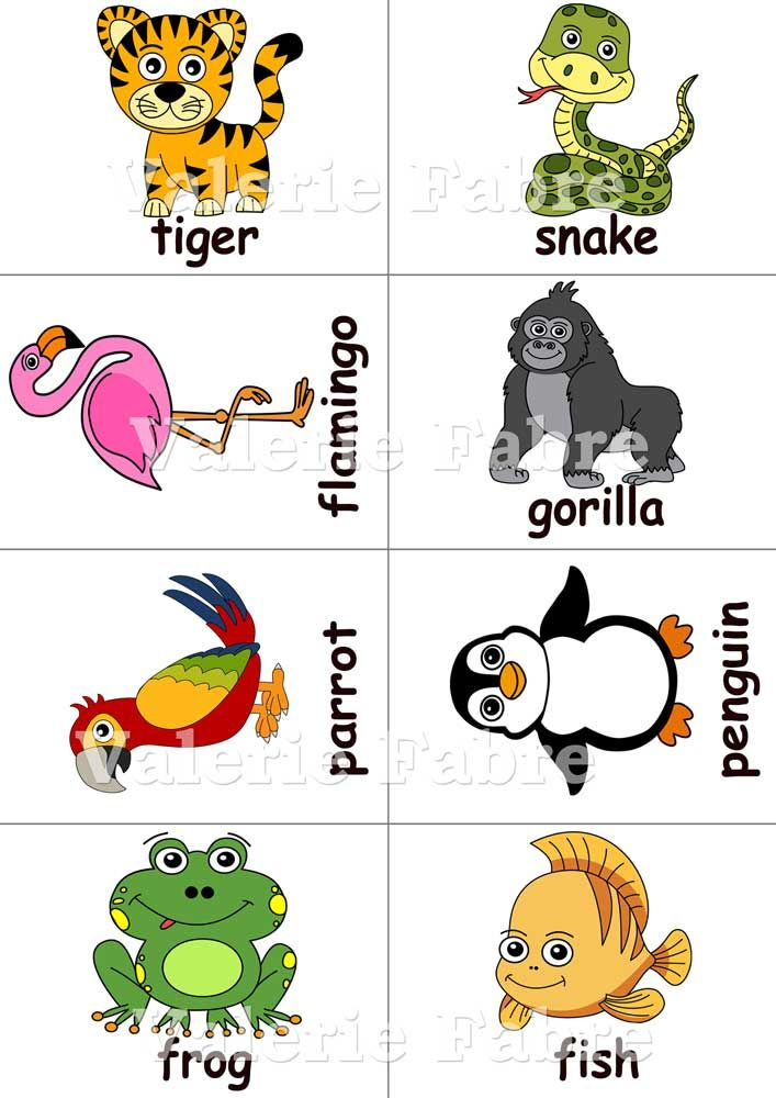 Flash Cards Printable Zoo Animals Printable Flash Cards
